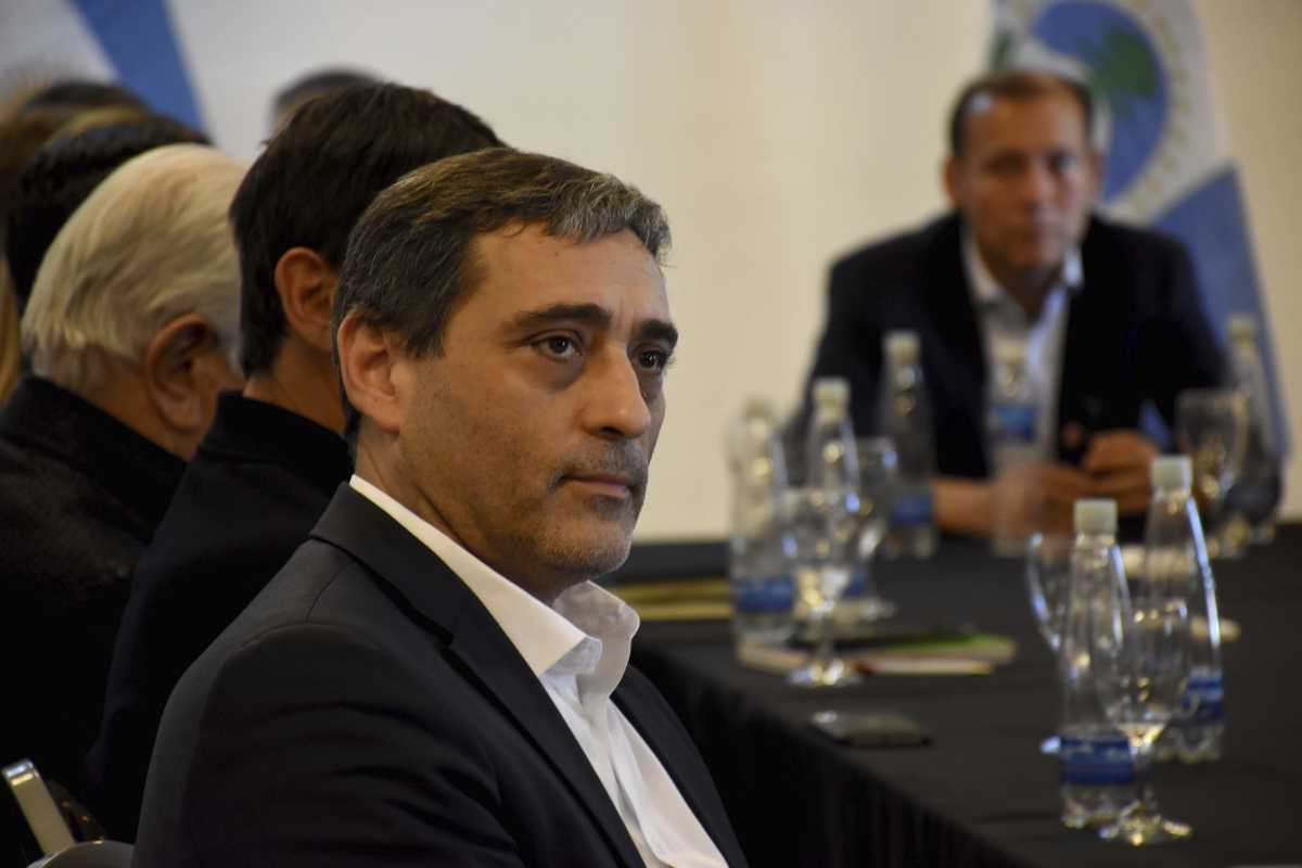 Quién es Pablo Iuliano, el exCEO de YPF, que creó su propia empresa ...