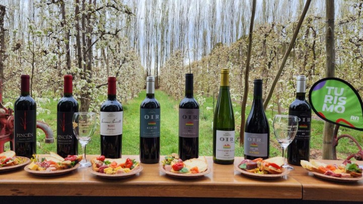 Un paseo las bodegas de los valles de Río Negro, un gran plan de fin de ...