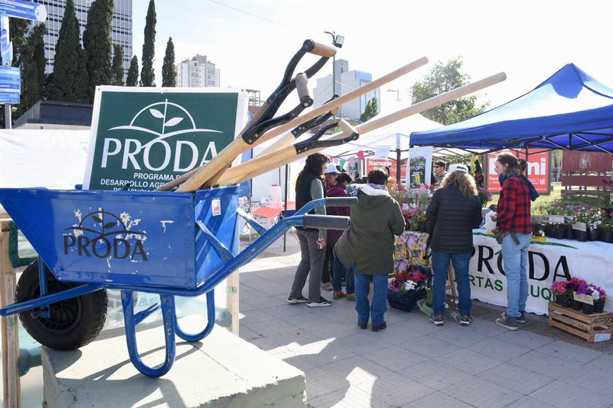 No te pierdas la feria de agricultura urbana en Neuquén - Diario Río Negro