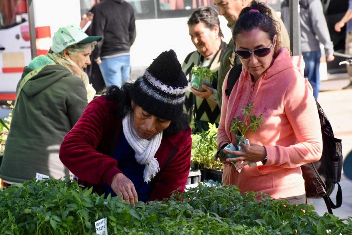 No te pierdas la feria de agricultura urbana en Neuquén - Diario Río Negro