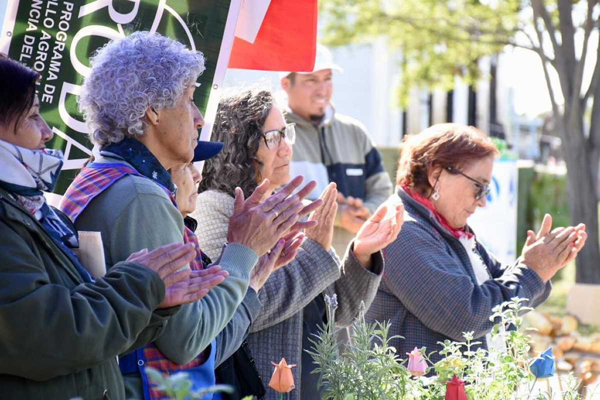 No te pierdas la feria de agricultura urbana en Neuquén - Diario Río Negro
