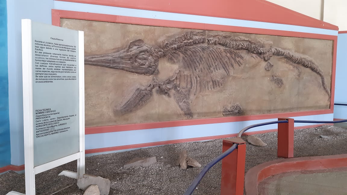 El Museo «Carmen Funes» cumple años y Plaza Huincul festeja - Diario ...