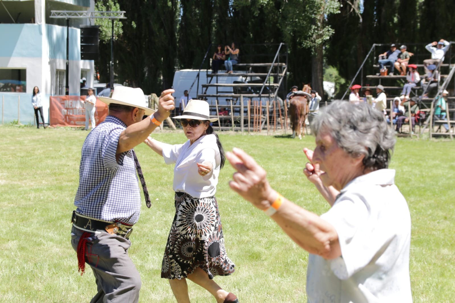 Fiesta del chivito y baile campero - Diario Río Negro