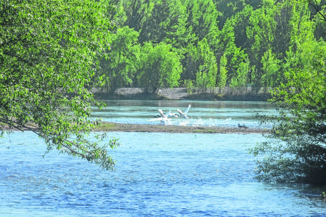 El “no” al trasvasamiento del río Negro - Diario Río Negro
