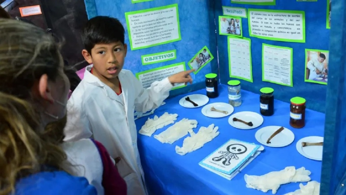 Proyectos De Feria De Ciencias De Sexto Grado