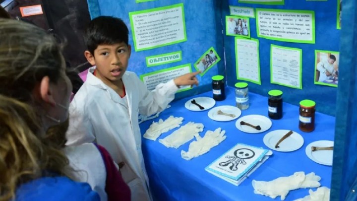 Los temas de la Feria de Ciencias que se inicia este miércoles en ...