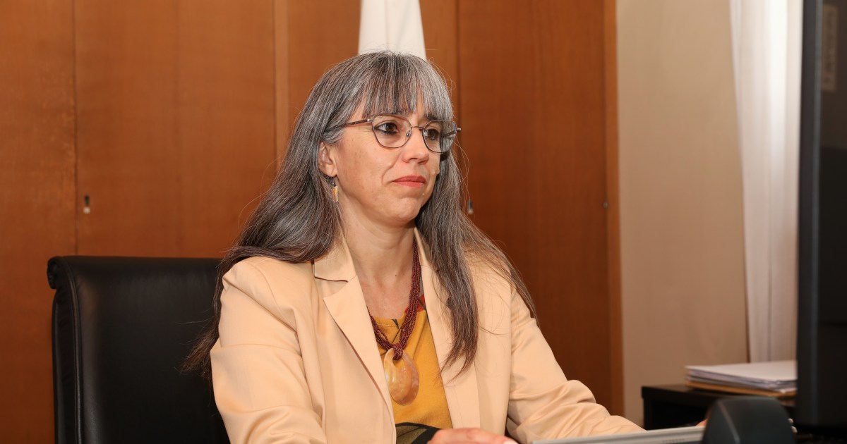 Plan para reactivar la PIAP: «Tenemos la expectativa de incorporar ...