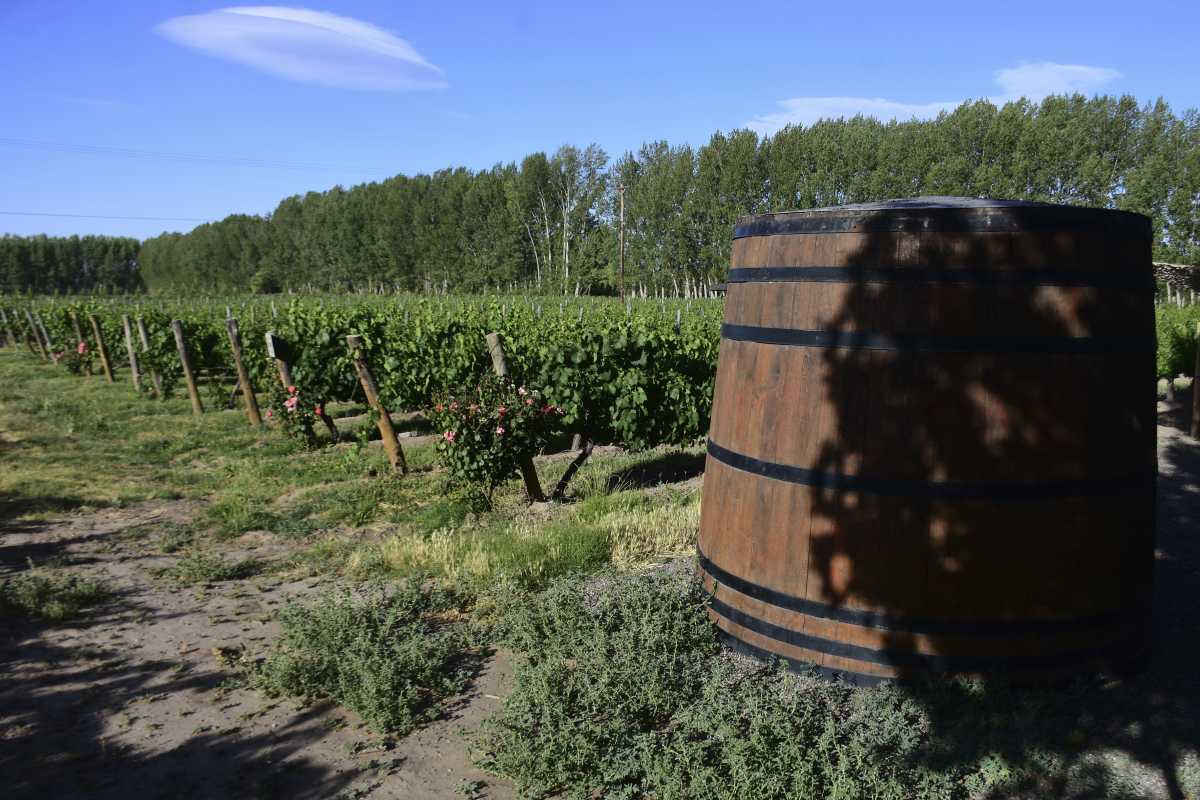 De la montaña a la costa, maravillas para descubrir en Neuquén y Río ...