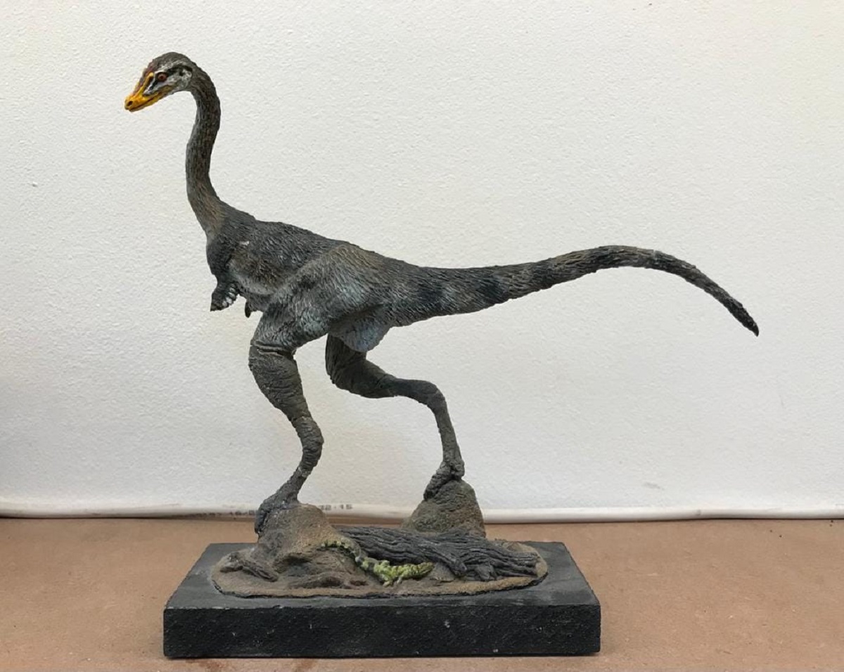 Hallaron un nuevo ejemplar de un icónico dinosaurio en el campus de la ...