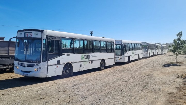 Llegaron más colectivos para la flota del transporte urbano de ...