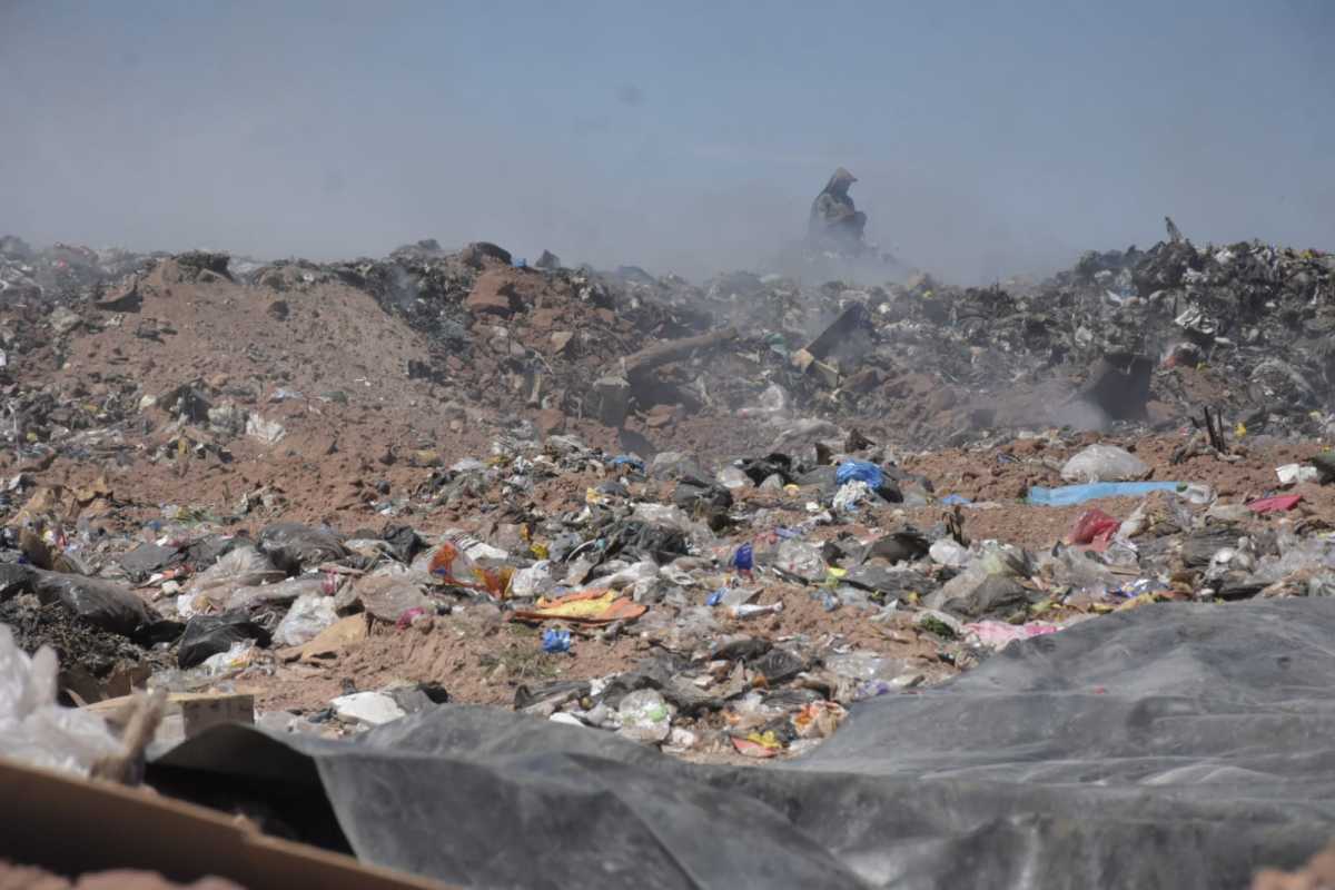 La contracara de Vaca Muerta: vivir del basural - Diario Río Negro