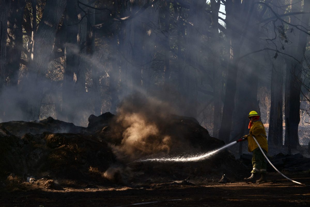 Logran contener un incendio que se originó detrás de Invap, en el este ...