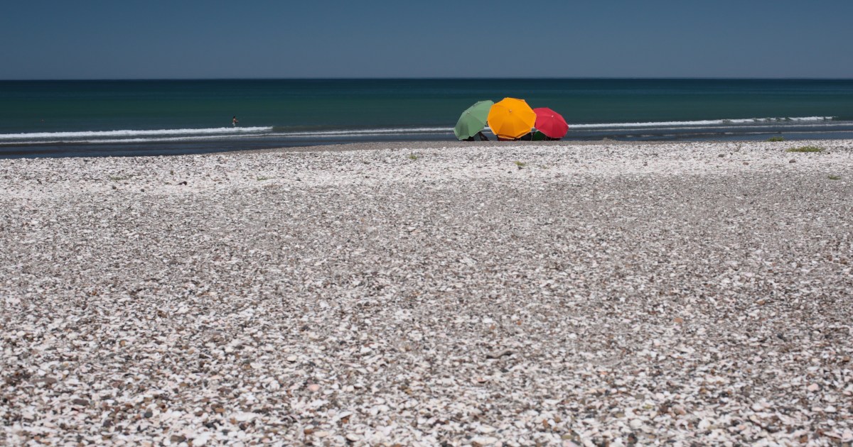 La Conchilla, a 65 km de Las Grutas, una playa única para descubrir ...