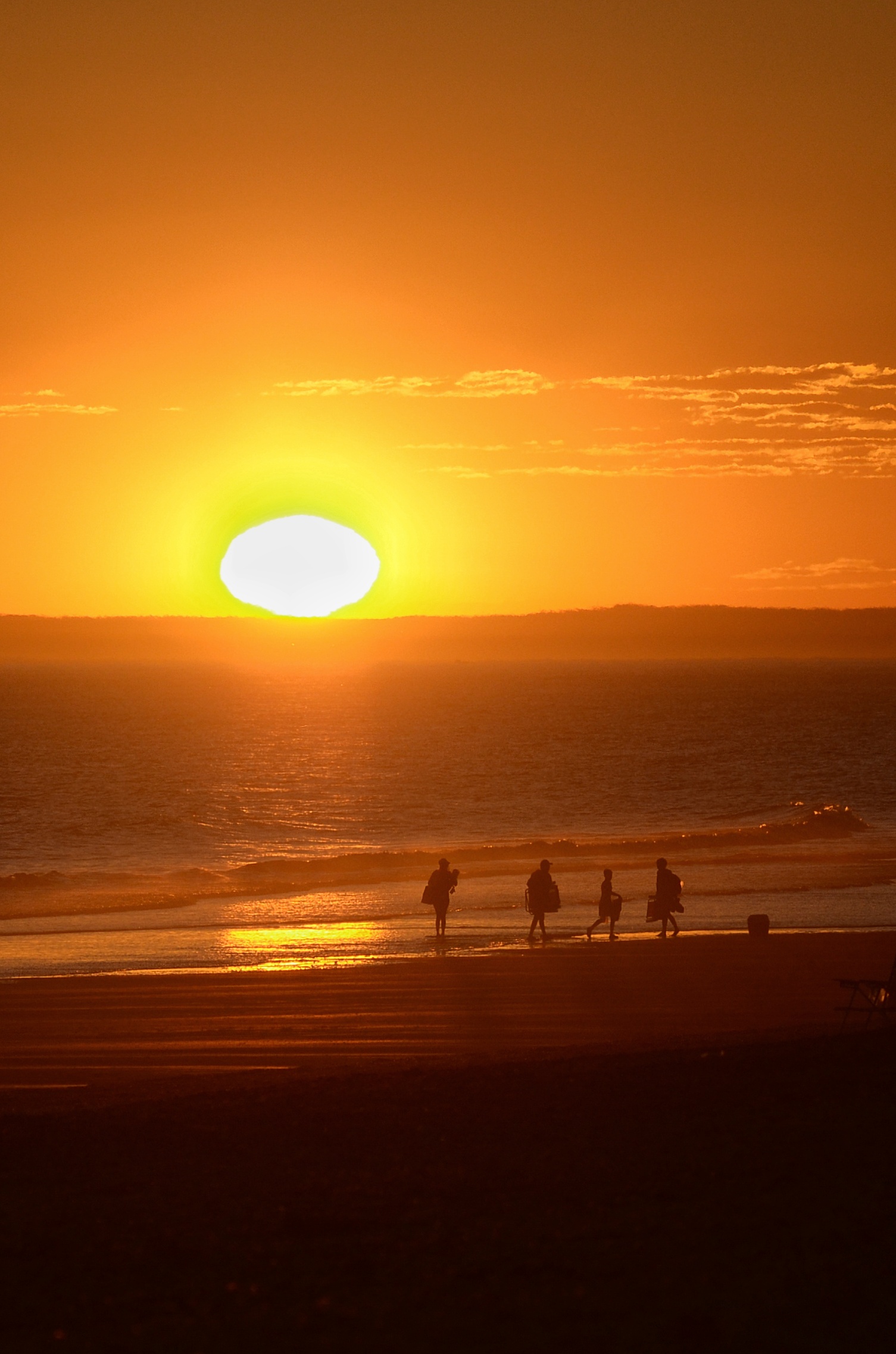 La Conchilla, a 65 km de Las Grutas, una playa única para descubrir ...
