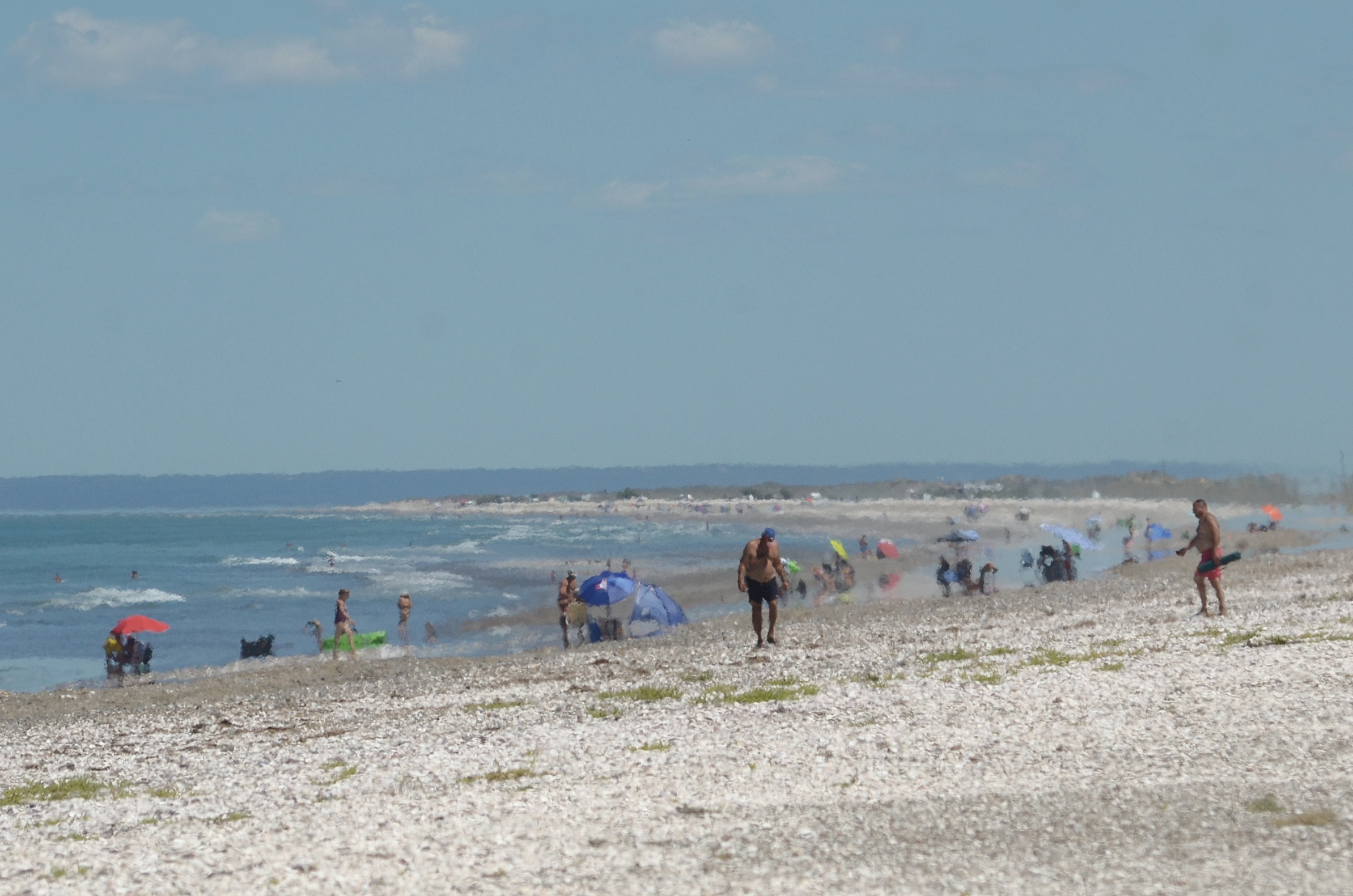 La Conchilla, a 65 km de Las Grutas, una playa única para descubrir ...