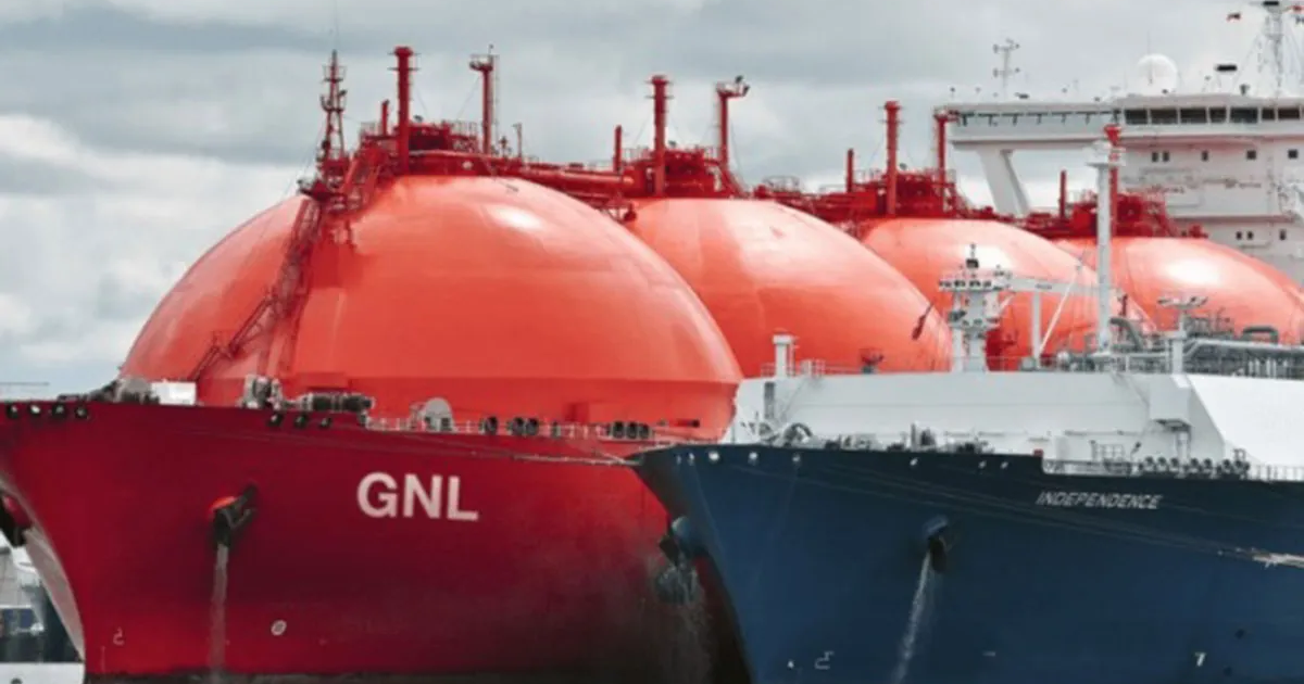 the 10 key points to understand what it is about and its impact on Vaca ...