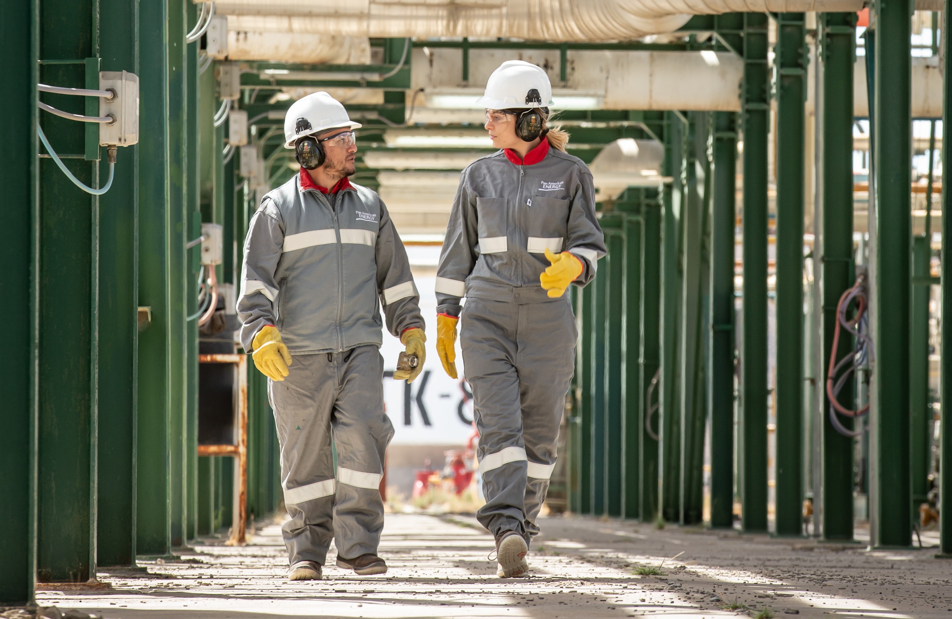 PAE lanza una nueva convocatoria para pasantías en distintos puntos del ...