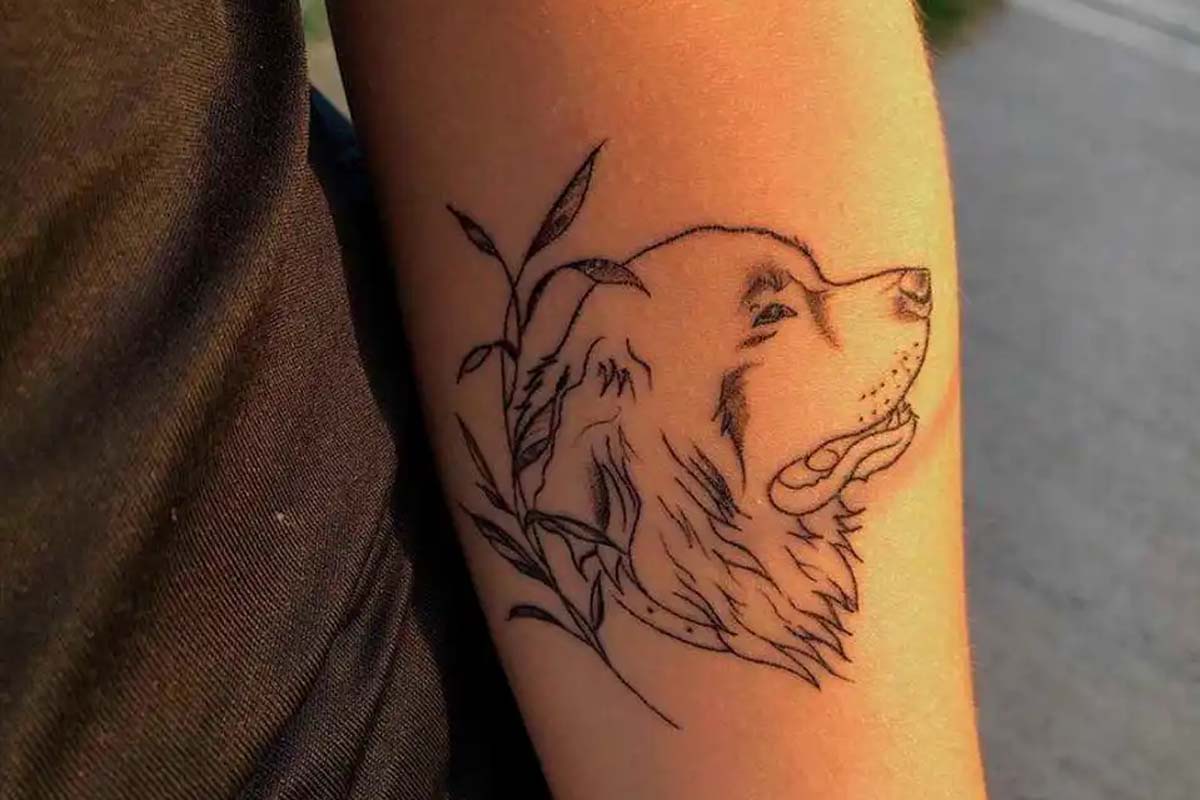 Perro Byron: Tribunal de Impugnación «juega» al ping pong con una causa ...