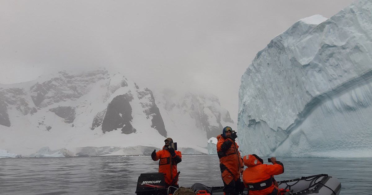Turismo en la Antártida: viaje a la base científica argentina más ...