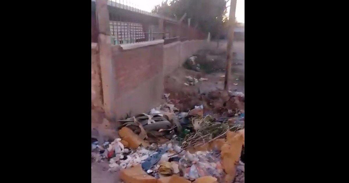 «Los chicos estudian rodeados de basura y caca»: el reclamo de dos ...