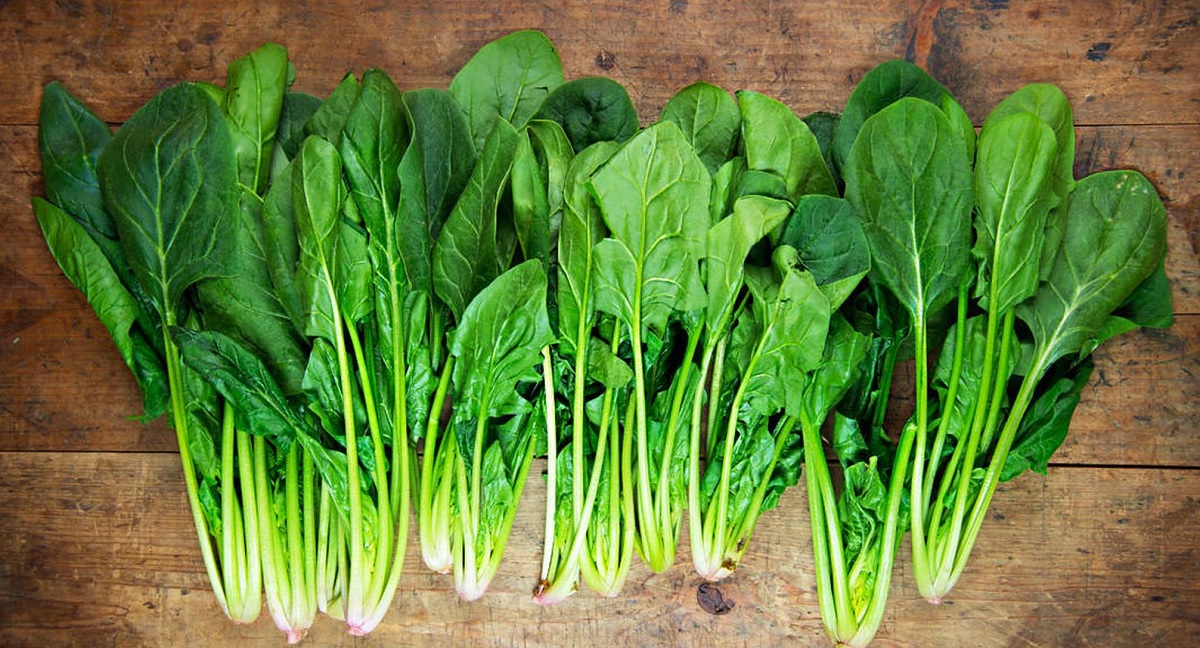 3 ideas simples para hacer con espinaca - Diario Río Negro