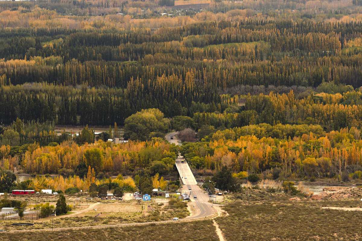 El otoño en la Patagonia pinta paisajes de ensueño del Alto Valle a la ...