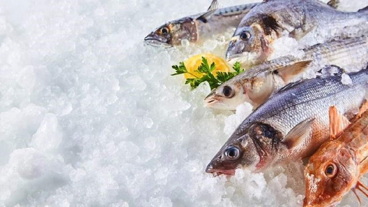 Semana Santa: claves para elegir un buen pescado - Diario Río Negro