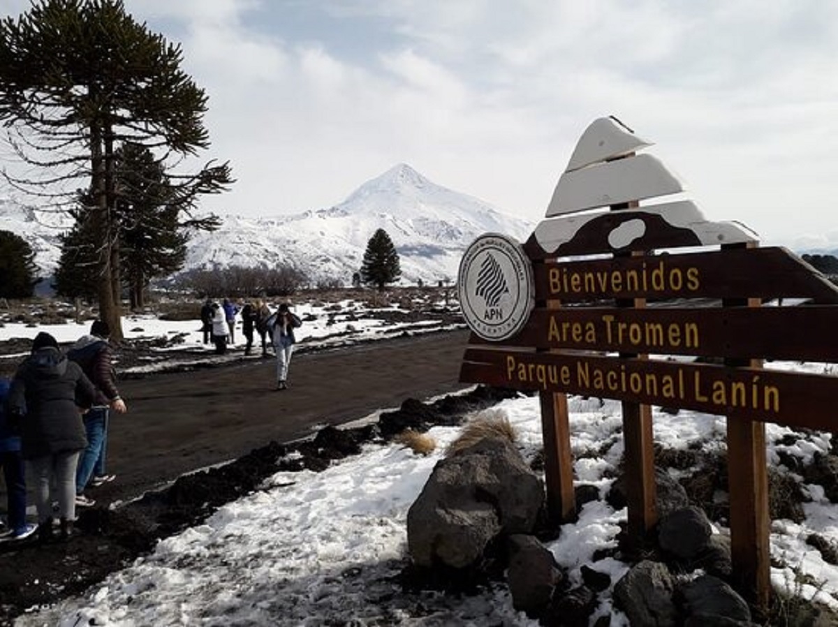 «Se largó»: Así cae la nieve en el Parque Nacional Lanín - Diario Río Negro