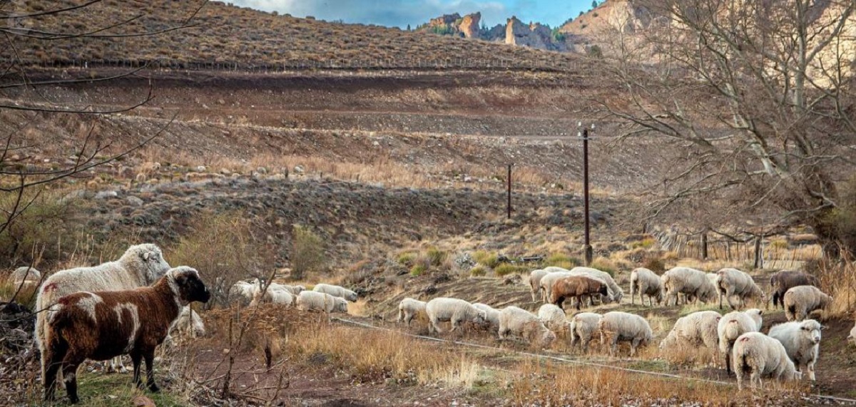 Escapadas: la Ruta 23 y su mágico recorrido para unir el mar con la ...