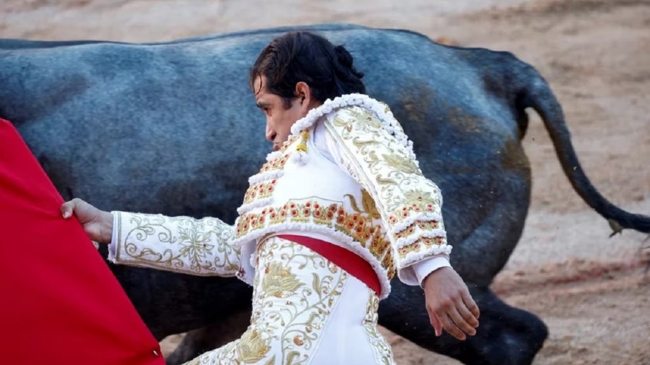 Un conocido torero de México, con conmoción cerebral tras ser embestido ...