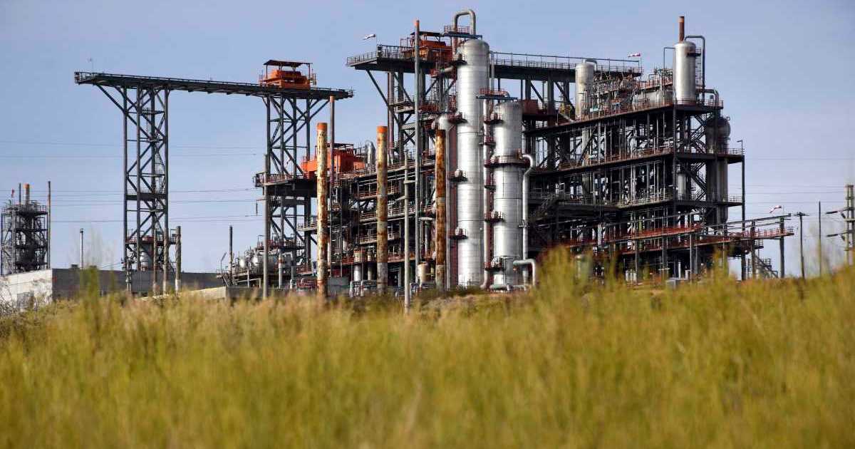 PIAP: entre la reactivación y la motosierra de Milei - Diario Río Negro