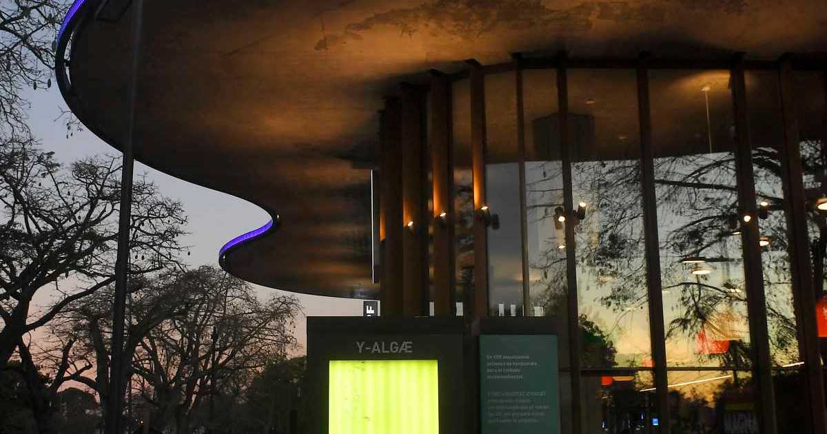 They propose "liquid trees" to purify the air and reduce carbon dioxide ...