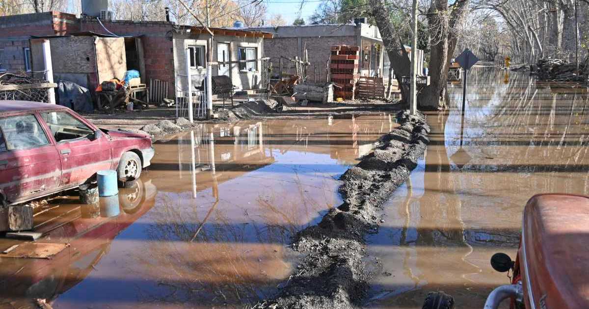 Inundación por el río Neuquén: dónde ayudar en Centenario, Vista Alegre ...
