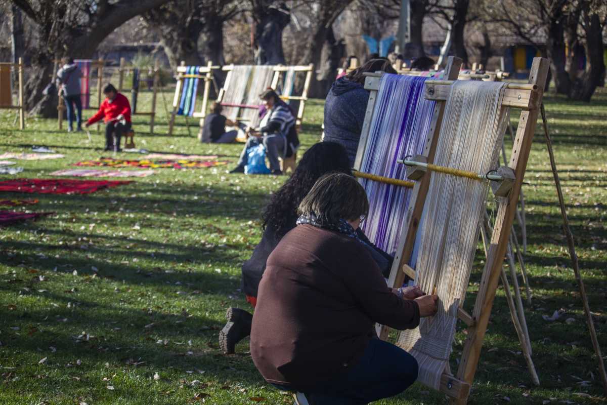 Se viene la fiesta de la matra, en Valcheta: conocé todo lo que podés ...
