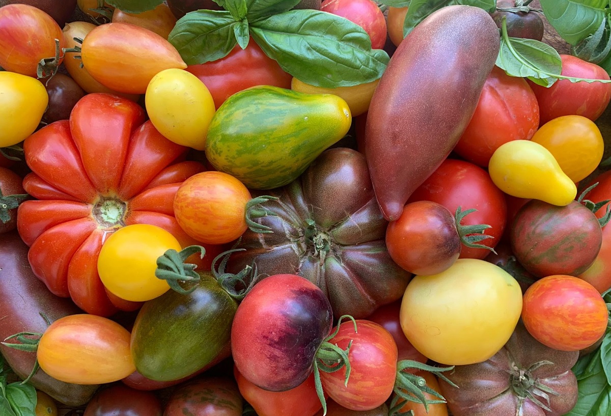 Una propuesta simple para dar los primeros pasos en el armado de la ...