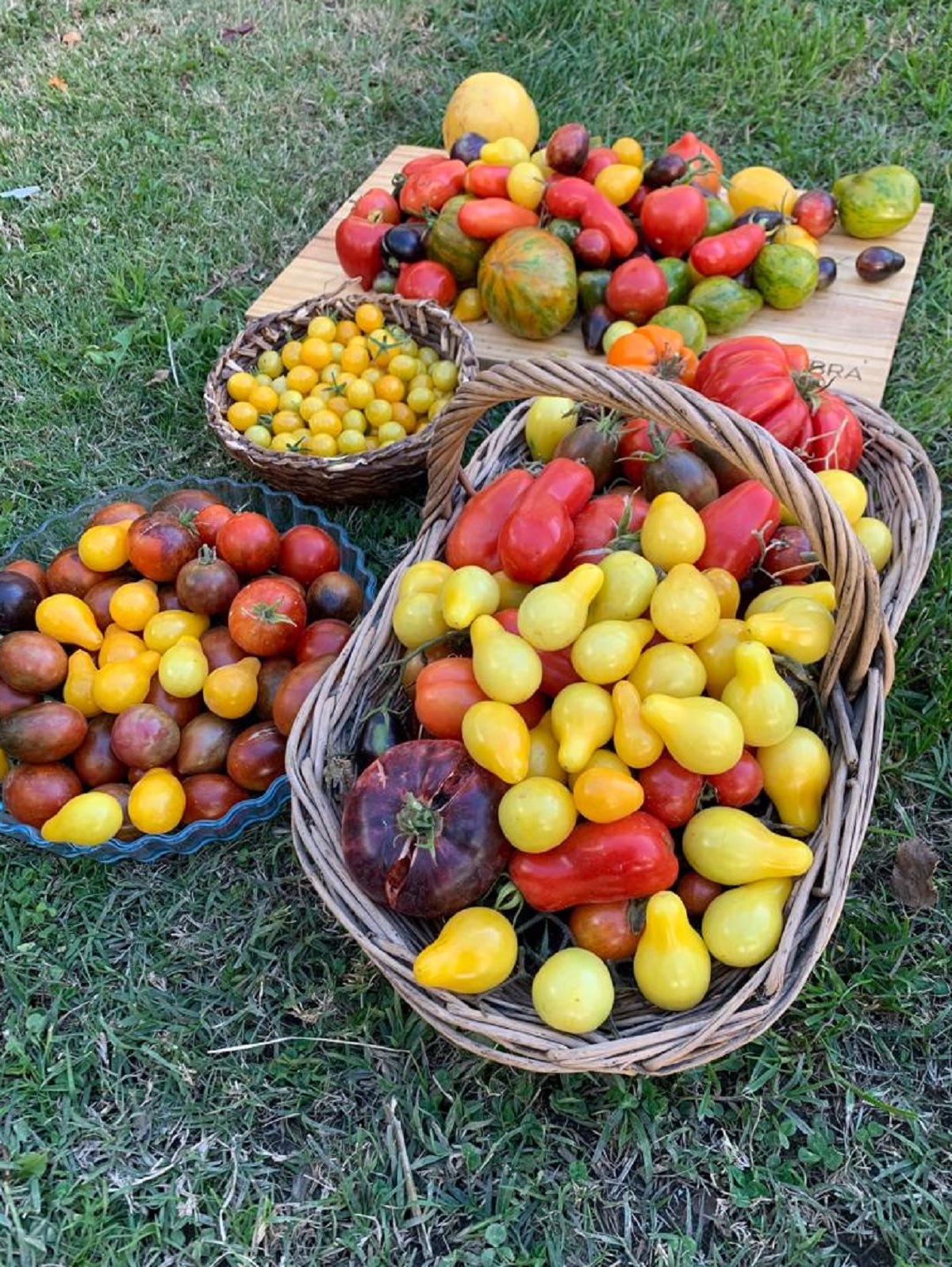 Una propuesta simple para dar los primeros pasos en el armado de la ...