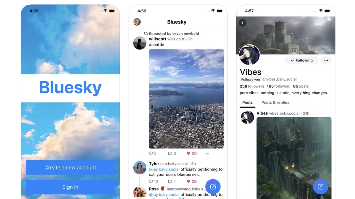 Qué es Bluesky, la app que puede reemplazar a Twitter - Diario Río Negro