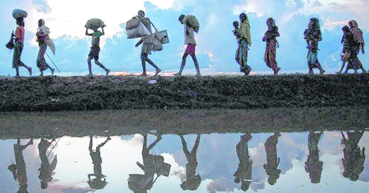 Human migrations forced by climate change – Archyde