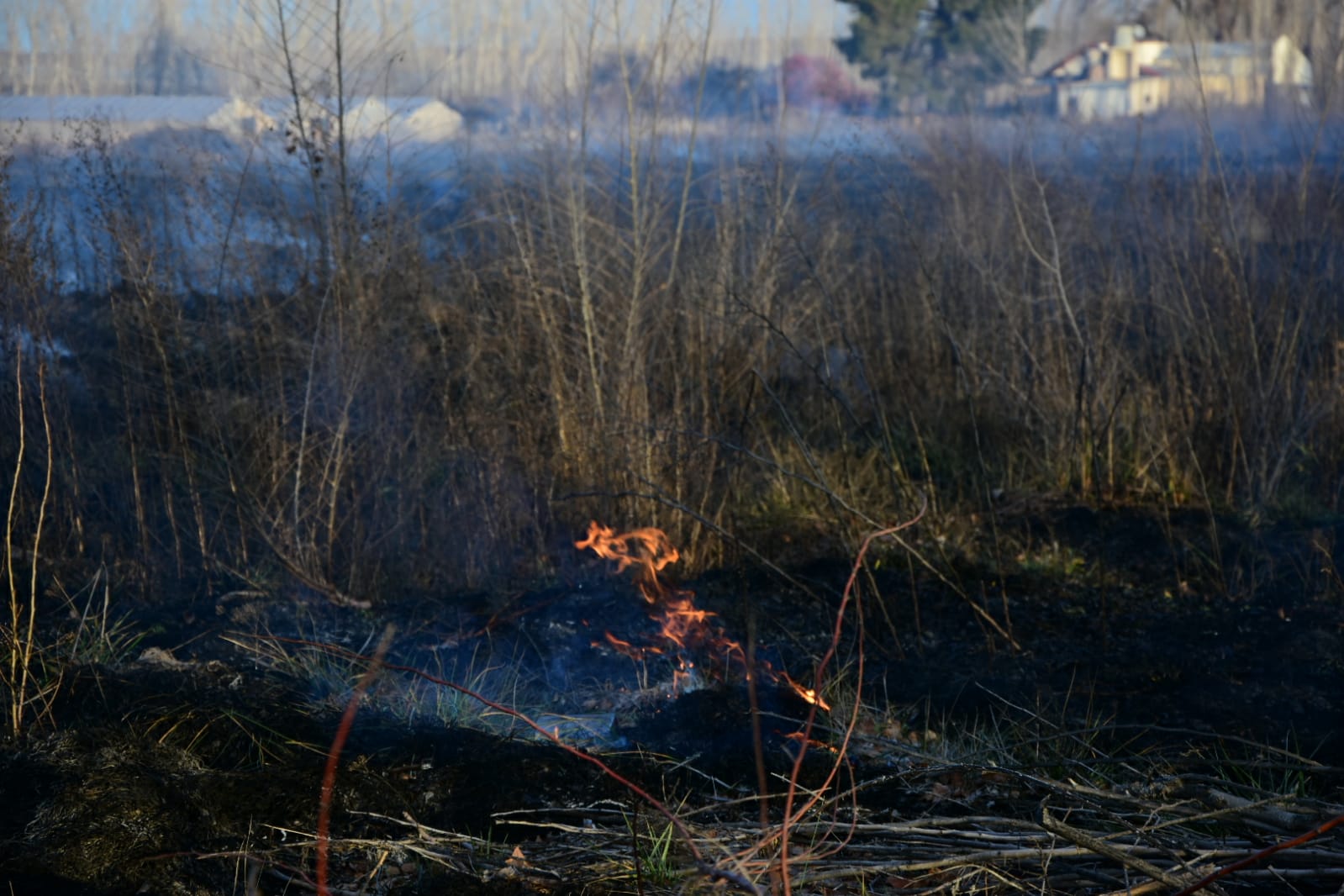 La Ruta 22 se tiñó de gris debido a un incendio en una chacra de Roca ...