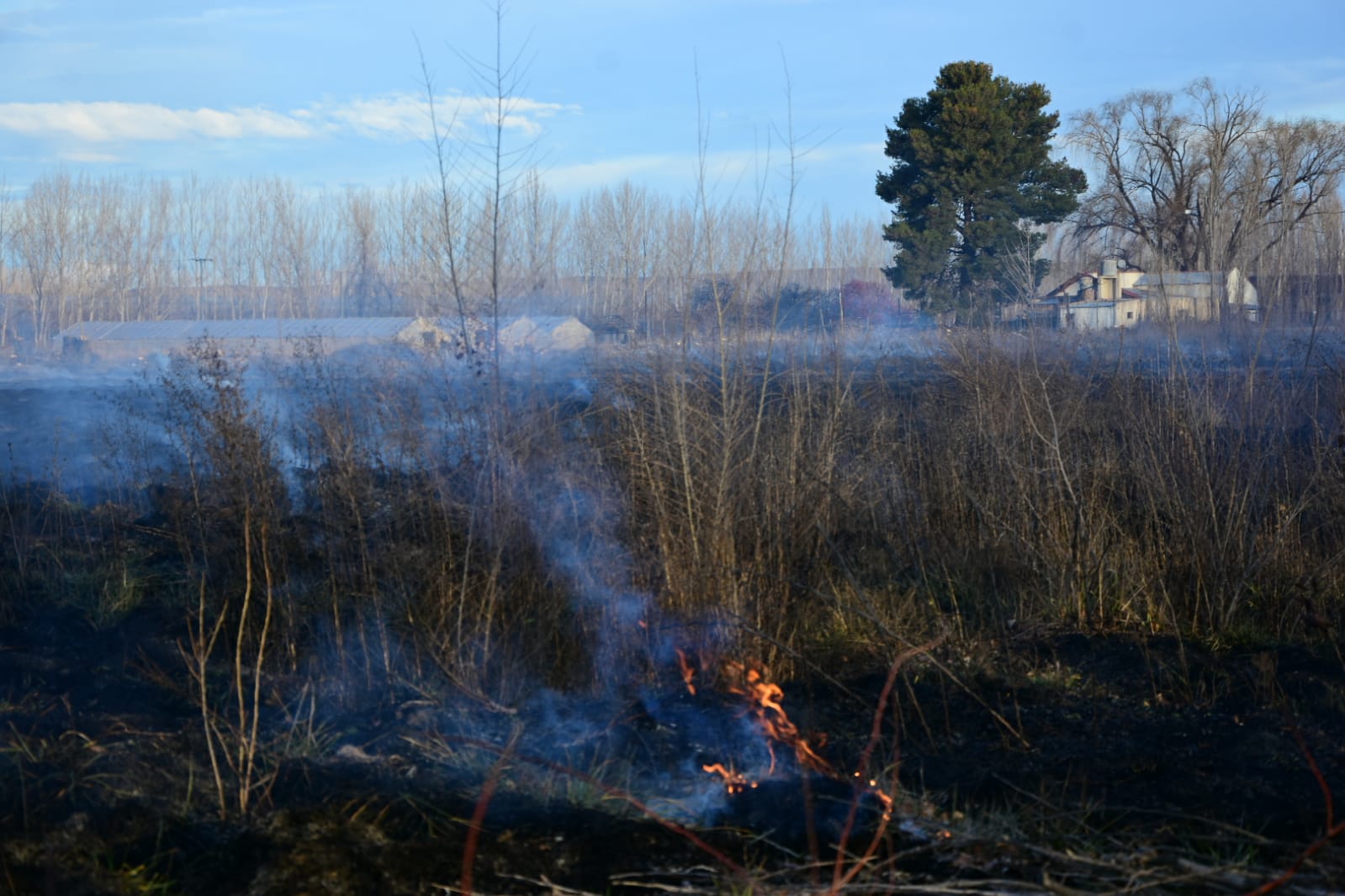 La Ruta 22 se tiñó de gris debido a un incendio en una chacra de Roca ...