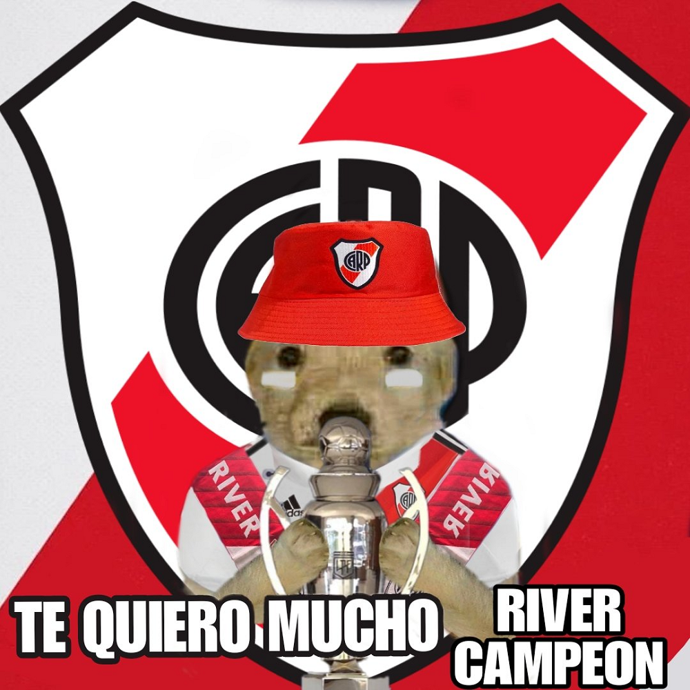 River salió campeón de la Liga Profesional y en redes circulan estos ...