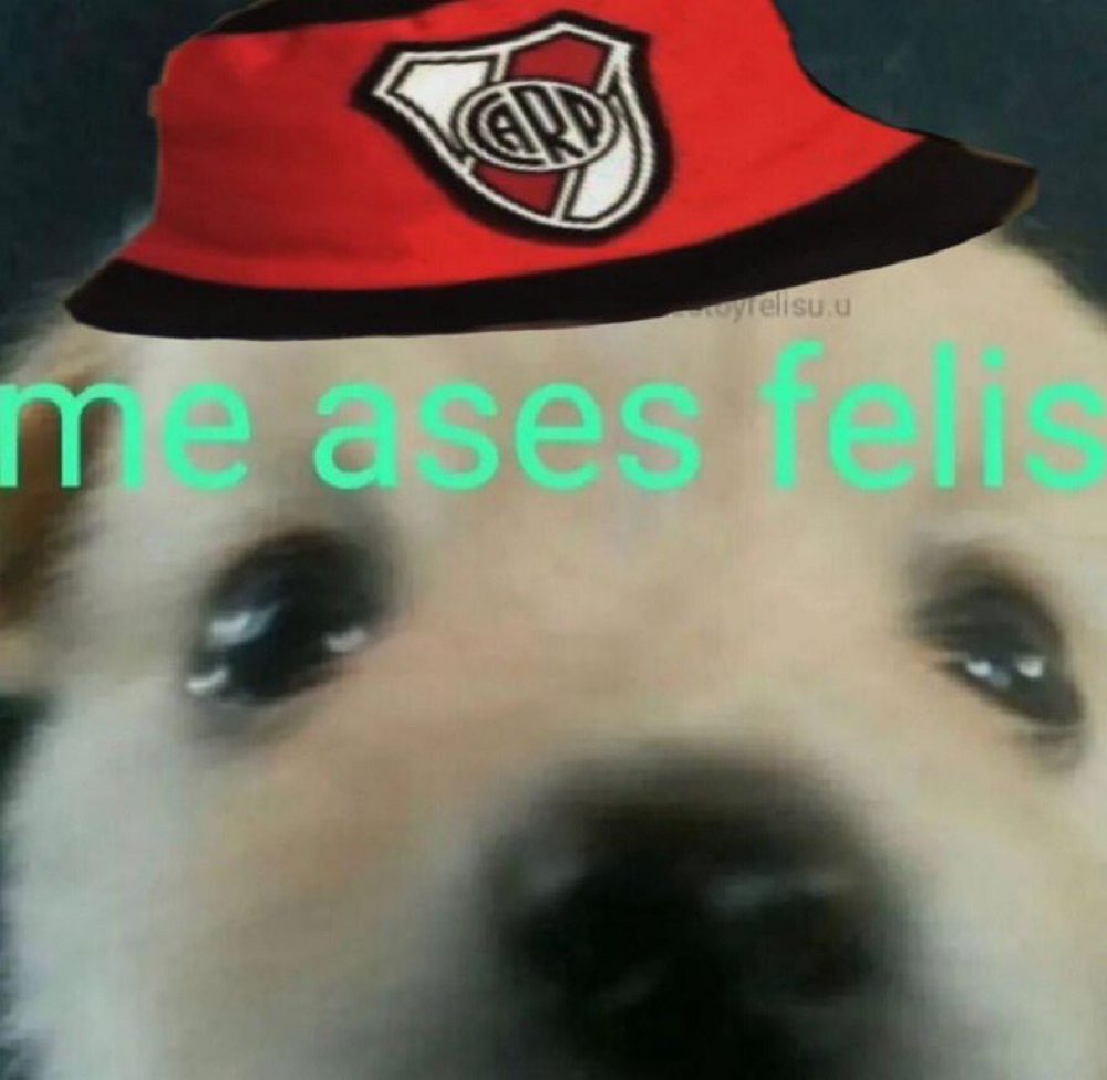 River salió campeón de la Liga Profesional y en redes circulan estos ...