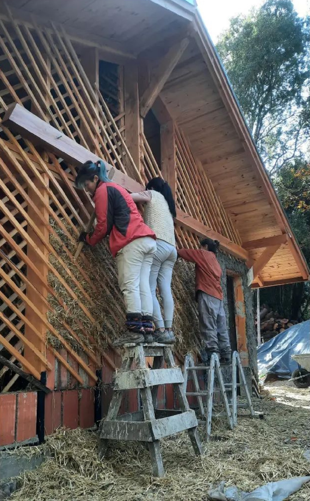 Así se construye la quincha contemporánea en bastidores - Diario Río Negro