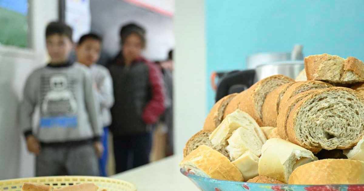 Río Negro abre licitaciones para comedores escolares en toda la ...