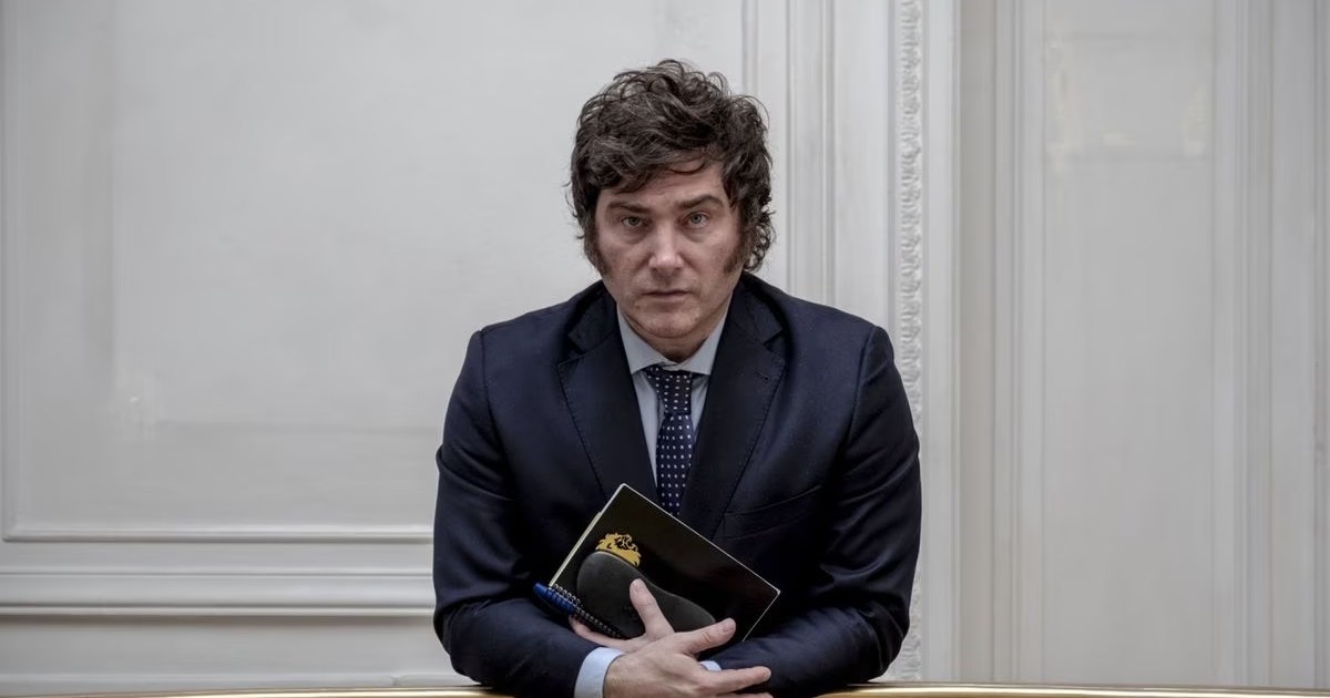 Cuántos votos obtuvo Javier Milei en Río Negro en las últimas ...