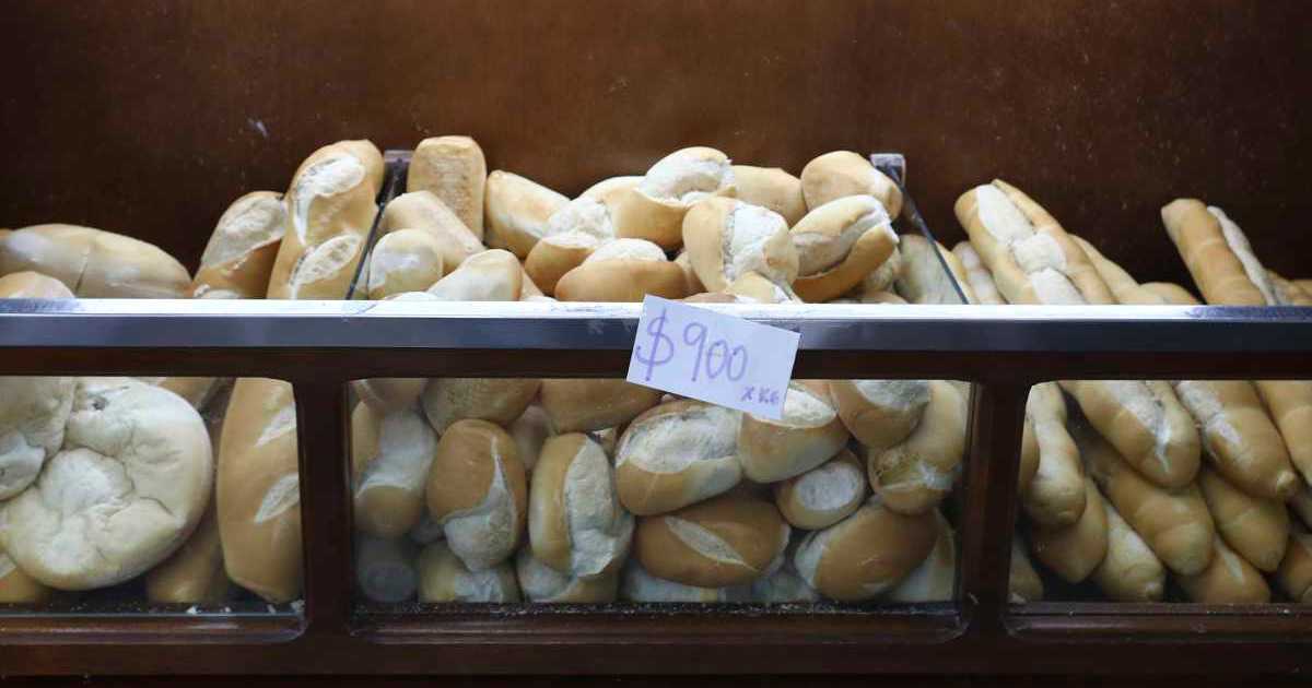 El precio del pan en Roca alcanzó los $900 - Diario Río Negro