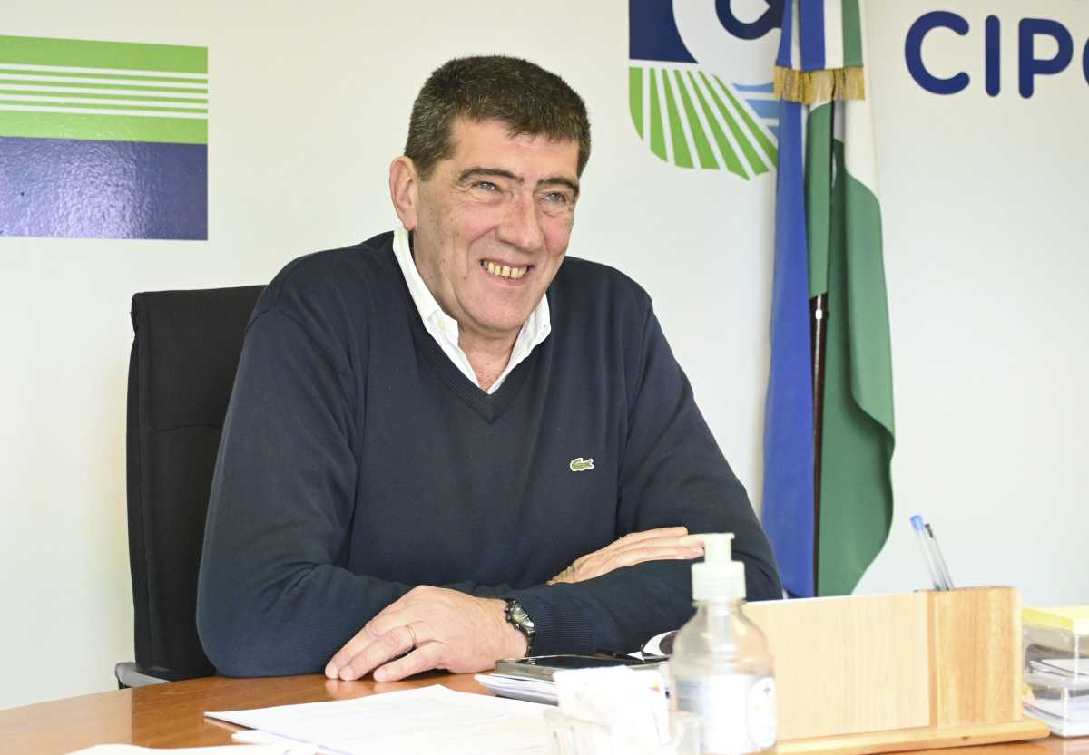 Cipolletti, su 120° aniversario y el balance de Di Tella antes de irse ...
