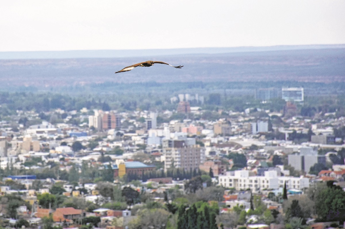 Quimey Neuquén: capital destinada a ser grande - Diario Río Negro