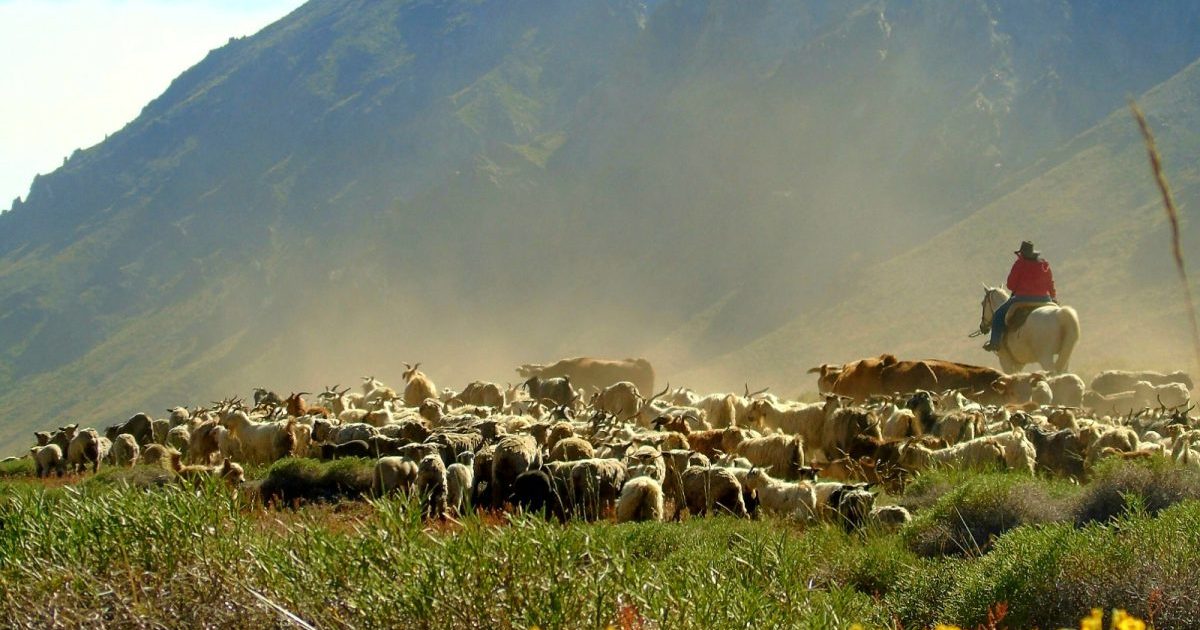 Ser parte de una veranada: la experiencia que te faltaba la podés hacer ...