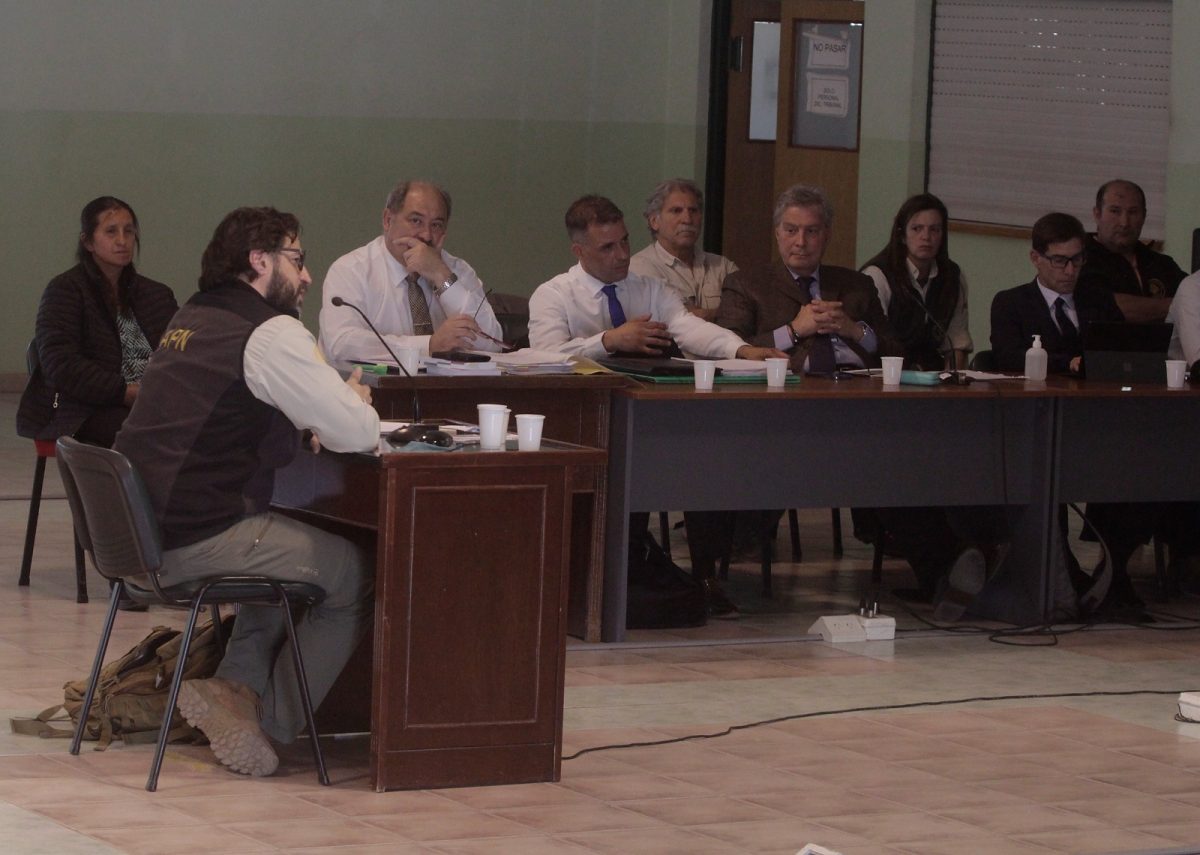 Absolvieron a los guardaparques acusados de la tragedia de Lolen, en ...